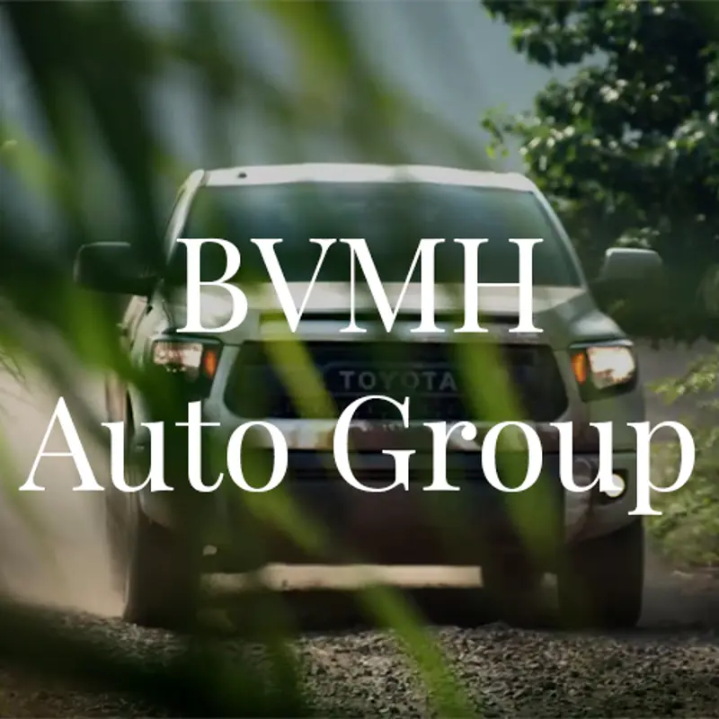 BVMH Auto Group | Ball Ventures